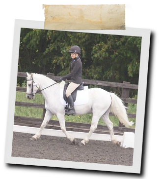 Superflex | Equine Supplements | Supplements for Horses