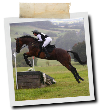 Superflex Senior | Equine Supplements | Supplements for Horses