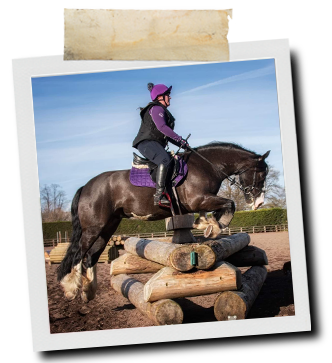 Superflex | Equine Supplements | Supplements for Horses
