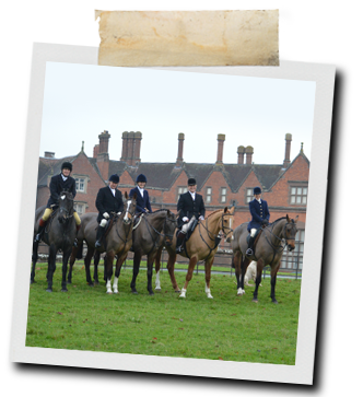 in the Pink Powder | Equine Supplements | Supplements for Horses
