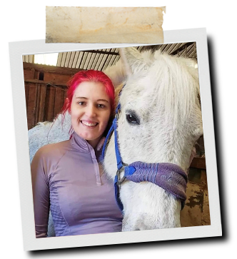 in the Pink Powder | Equine Supplements | Supplements for Horses