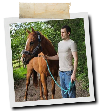 in the Pink Powder | Equine Supplements | Supplements for Horses