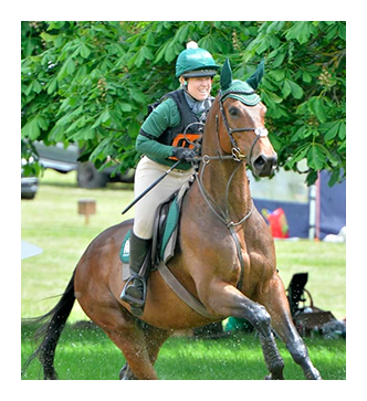 Seasonaze | Equine Supplements | Supplements for Horses